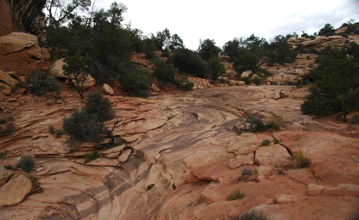 Flood Facts - Reduce Flood Risk