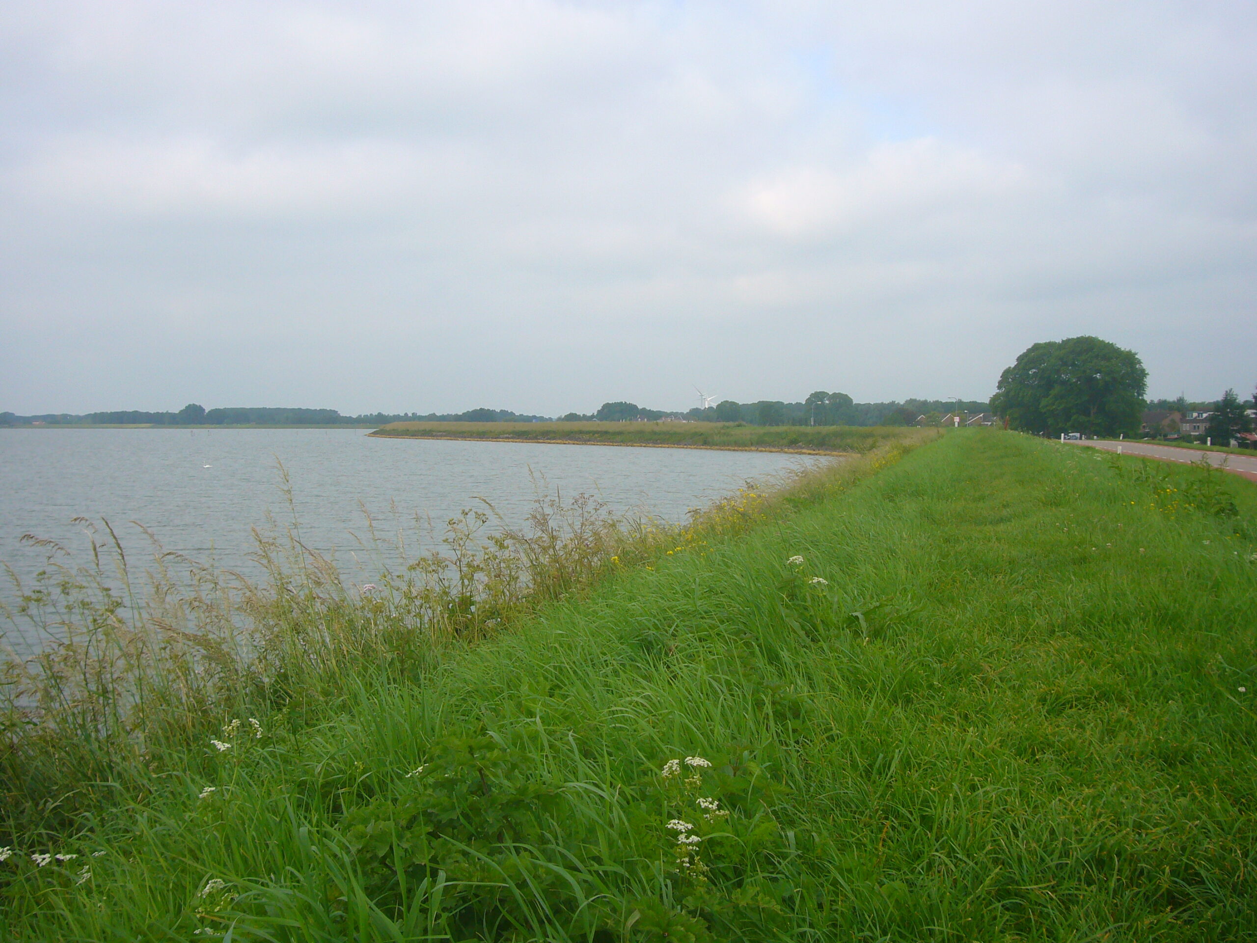Construct an earthen levee - Reduce Flood Risk