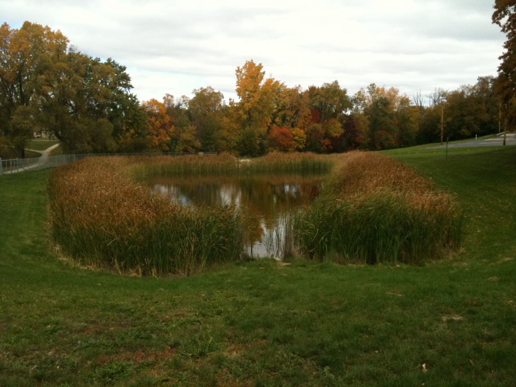 Build and maintain retention and detention basins - Reduce Flood Risk