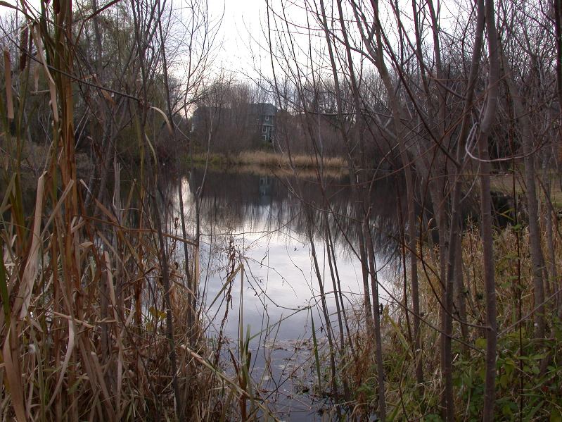 Build and maintain retention and detention basins - Reduce Flood Risk