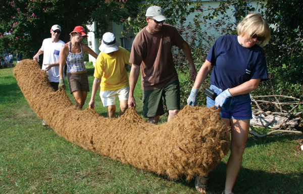 Install a living shoreline - Reduce Flood Risk